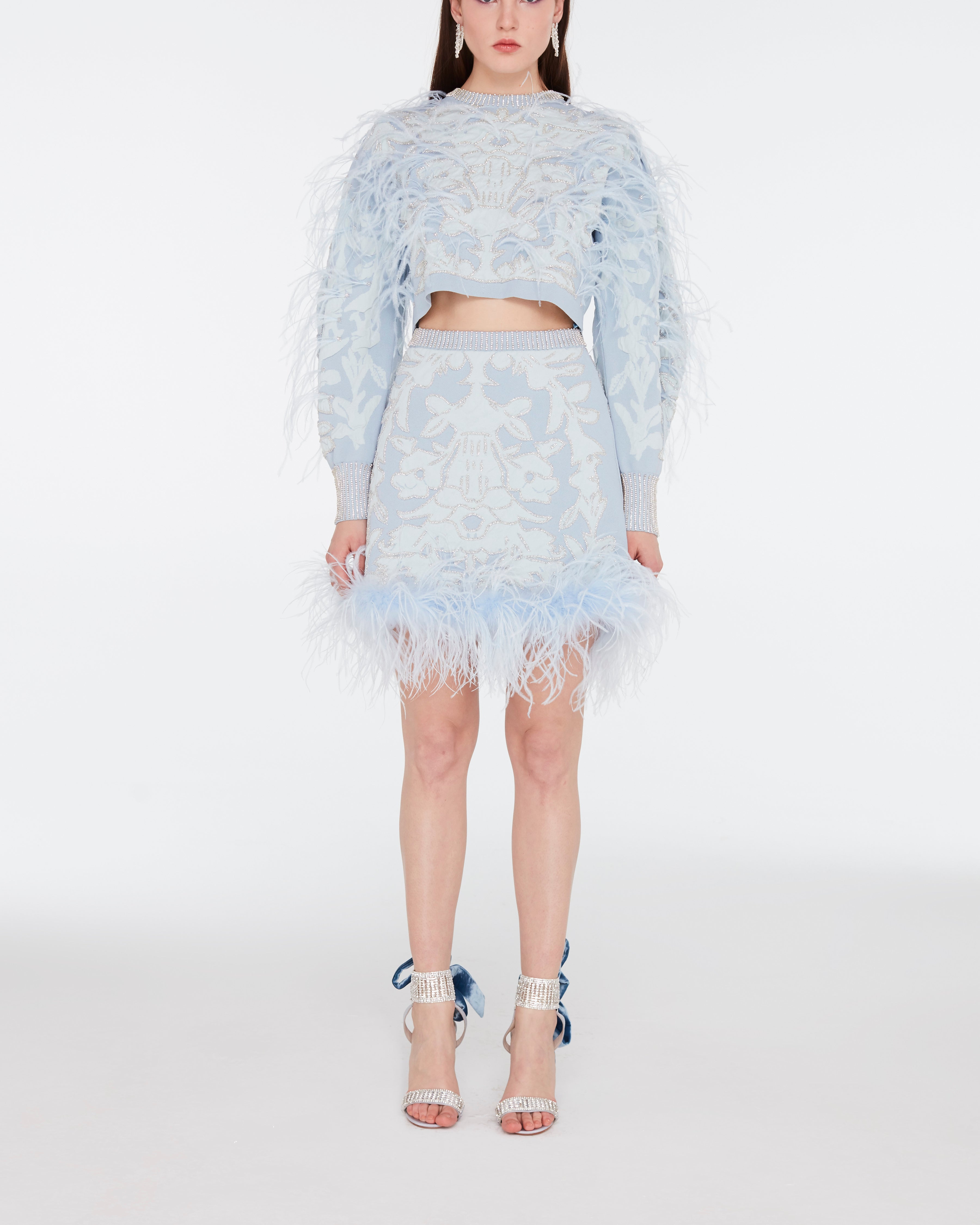 Beaded Feather Embellished Mini Skirt – RAISA VANESSA